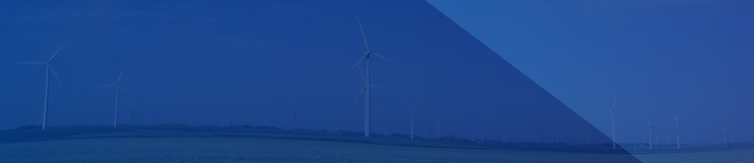 Notre Politique de Management